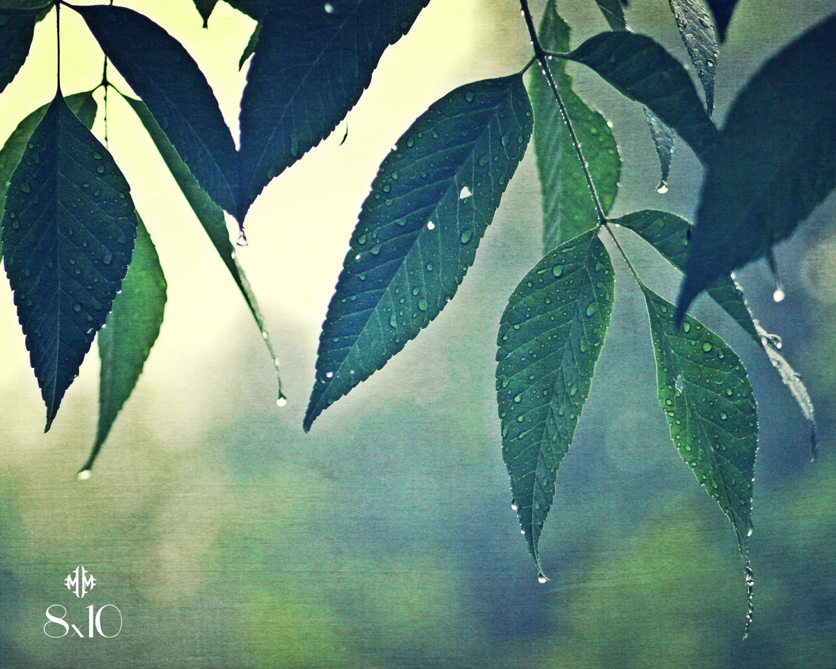 "Quenched". Original Artwork Photography Print. – C L O V E N